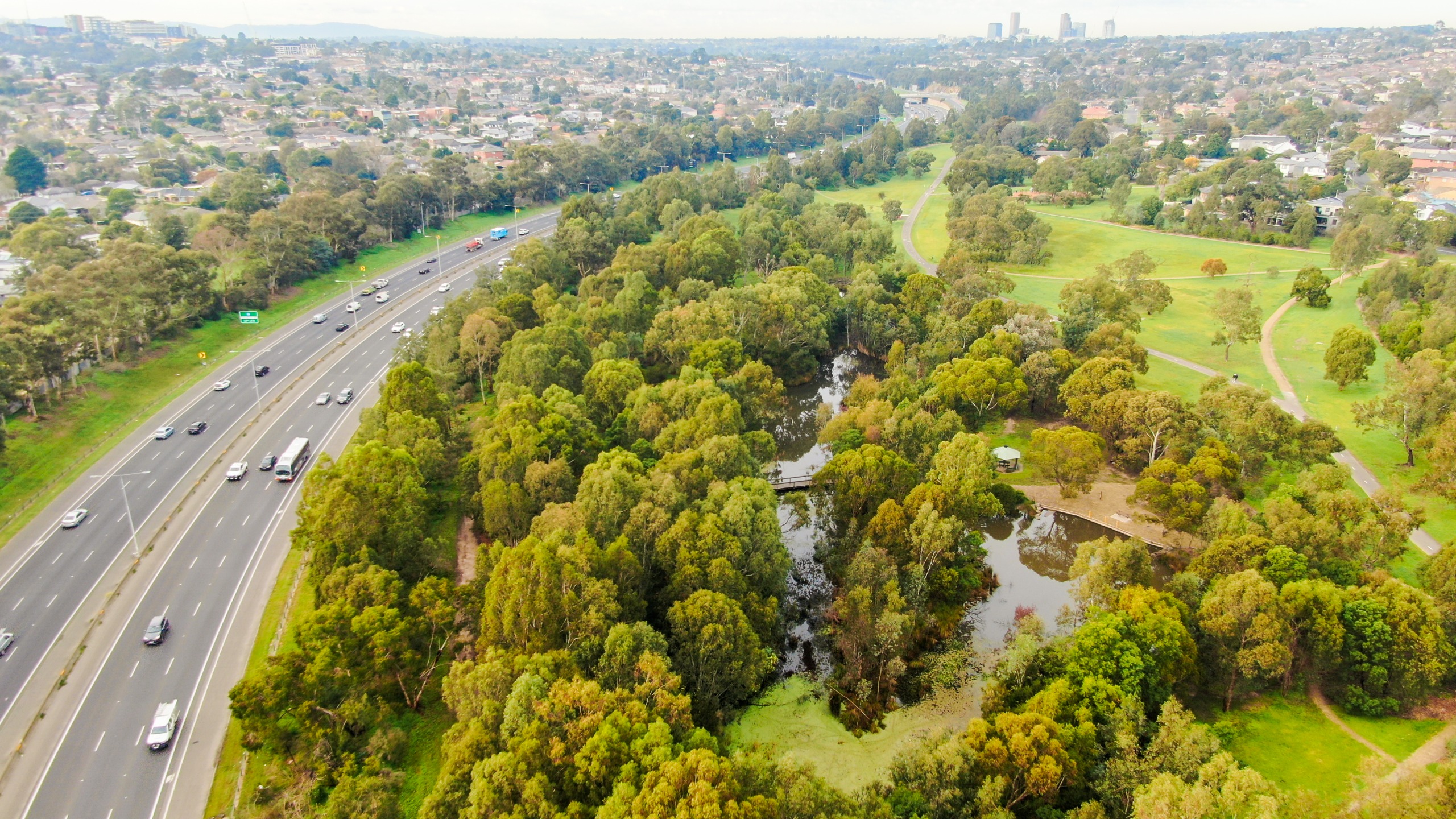 Koonung Creek Reserve Master Plan | Your Say Boroondara