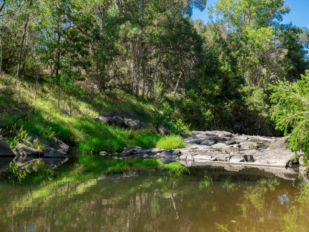 Gardiners Creek (Kooyongkoot) Master Plan | Your Say Boroondara